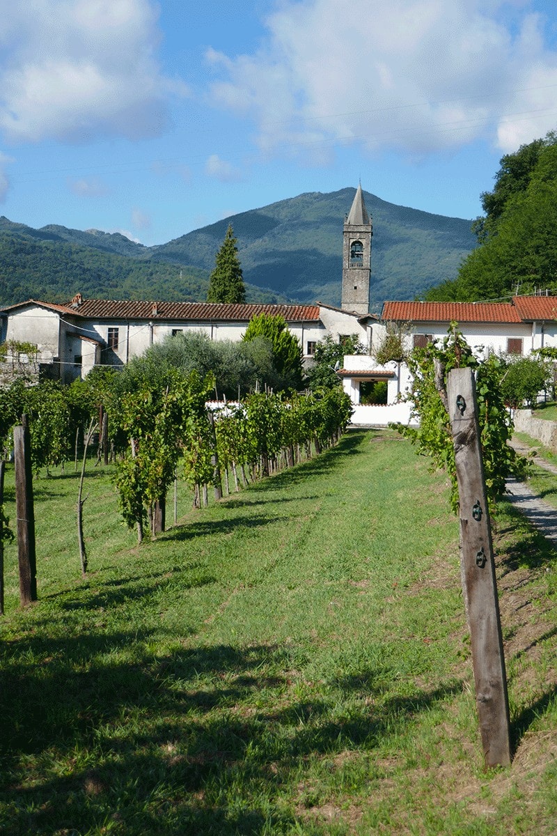 Via Francigena dans les Apennins : montagne, villages et arts